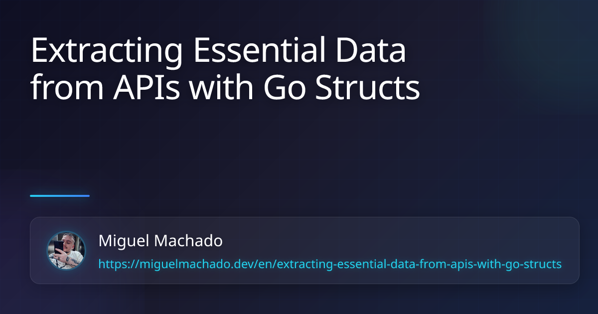 Extracting Essential Data from APIs with Go Structs - Miguel Machado
