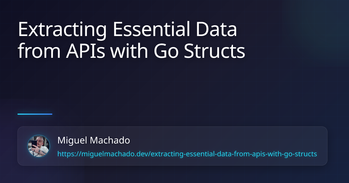 Extracting Essential Data from APIs with Go Structs - Miguel Machado
